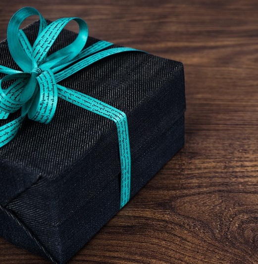 2016 Gift Guide for Travel Lovers – Surviving on a Shoestring